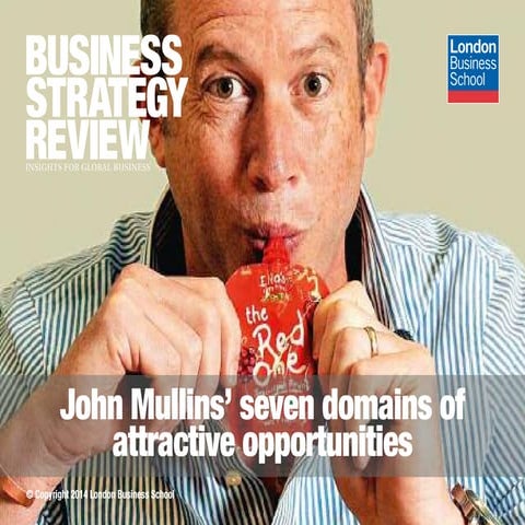 Seven Domains of Attractive Opportunities by John Mullins | PDF