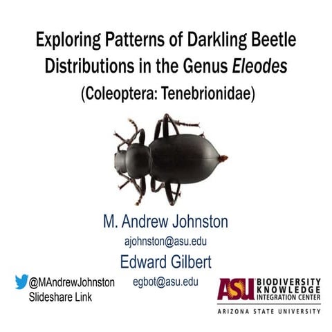Exploring Patterns of Darkling Beetle Distributions in the Genus ...