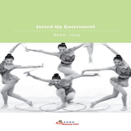 Joined Up Government | PDF