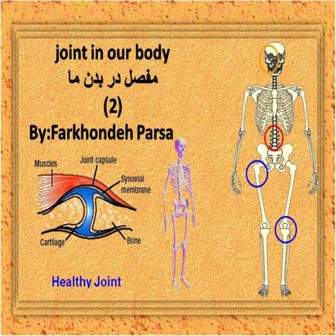 Joint in our body 2 | PPTX