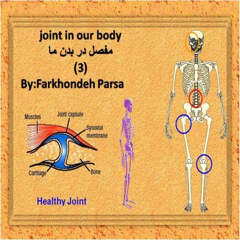 Joint in our body 3 | PPT