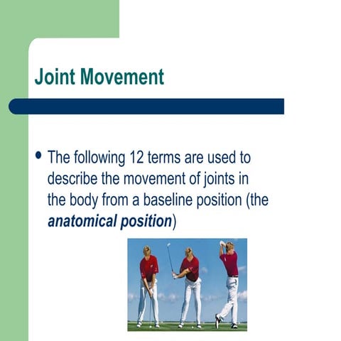 Terminology of movement in anatomy, flexion extension hyperextension ...