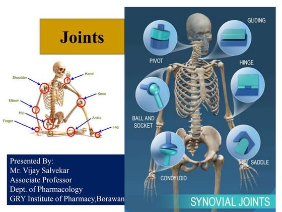 Joints of the human body | PPT