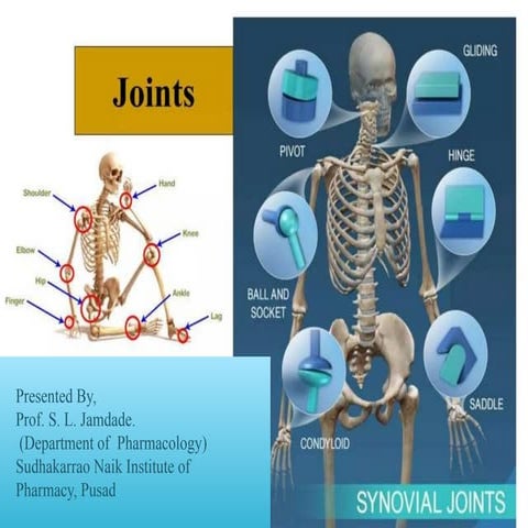 joints.ppt unit II b pharm I yr human anatomy and physiology | PPT