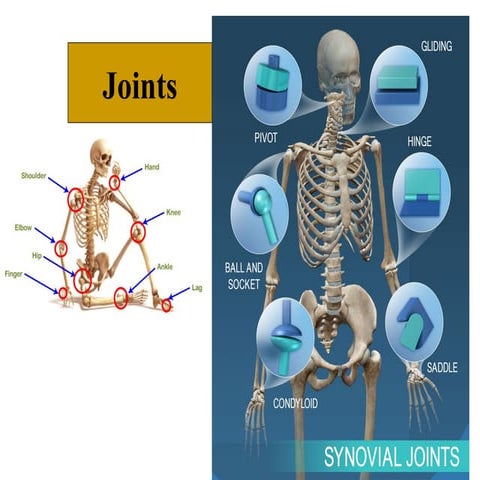 joints | PPT