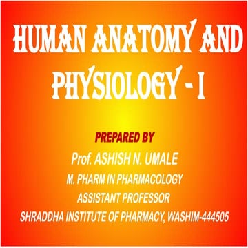 MES de los valores, mes DE LA ALEGRIA.pptx