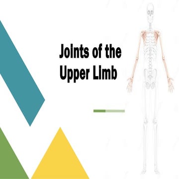 Anatomy Medicine - Joints of the Upper Limb | PPT