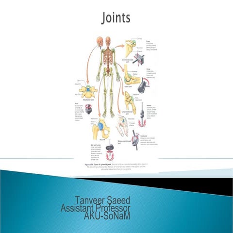 Joints (2) | PPT