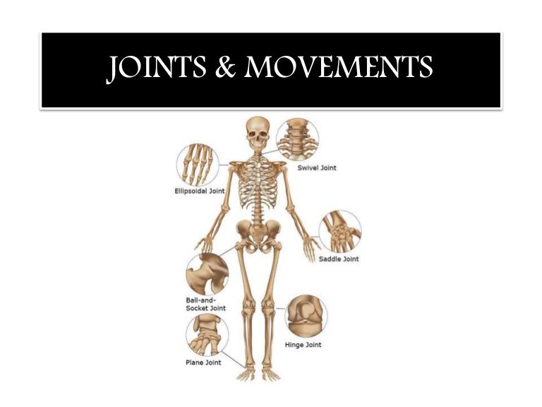 This Image Shows Some Examples Of The Movements Of Joints And Their