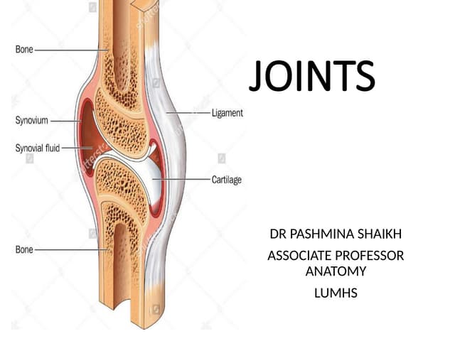 Anatomy of Joints & its classification | PPTX