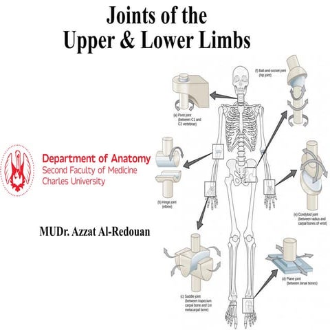 joints_of_the_limb (1).pdf................. | PPT