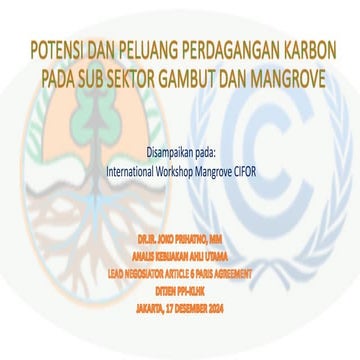 Potensi dan Peluang Perdagangan Karbon pada Sub Sektor Gambut dan ...