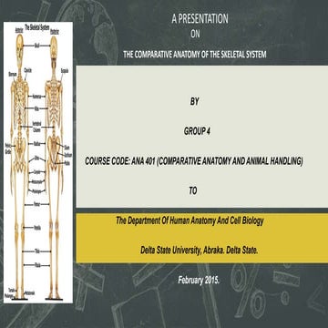 Comparative Anatomy Written Lab Bones | PDF