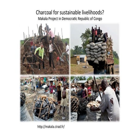 Jolien Schure makala project-drc-tree-based-bioenergy-icraf-may2015 | PDF