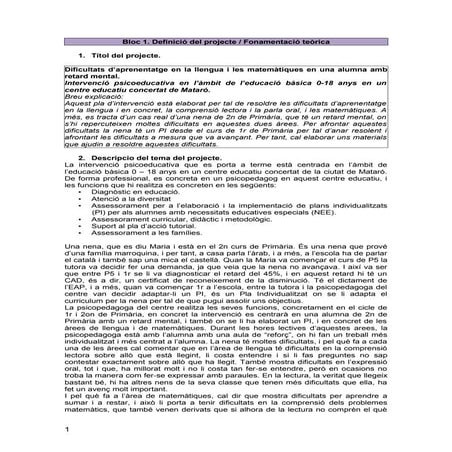 Pla de Treball | PDF