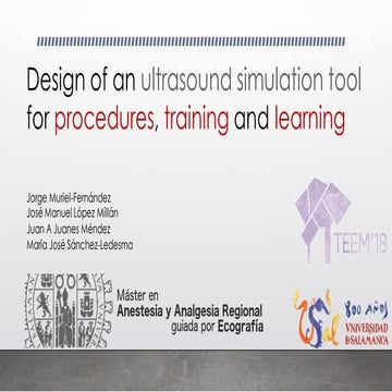 Design of an ultrasound simulation tool for procedures training and ...