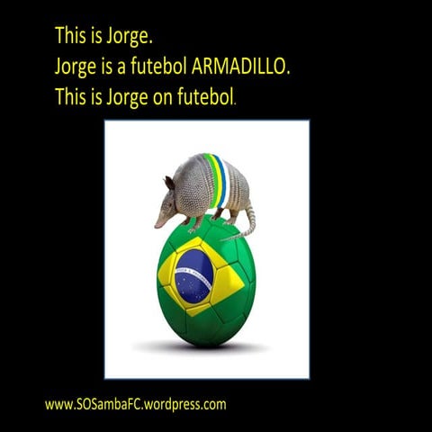Jorge the Armadillo | PPT