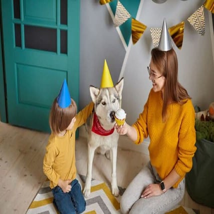 Pets with responsible owners improve households. They impart life ...
