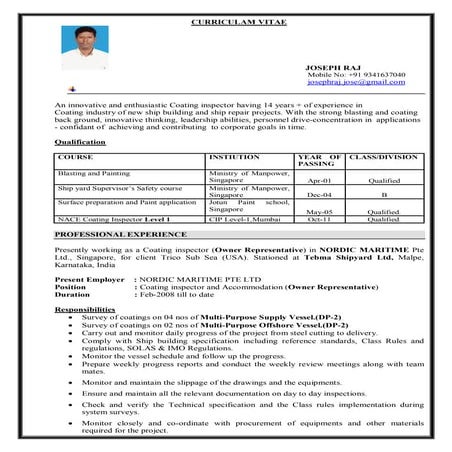 luis 2015 resume | RTF