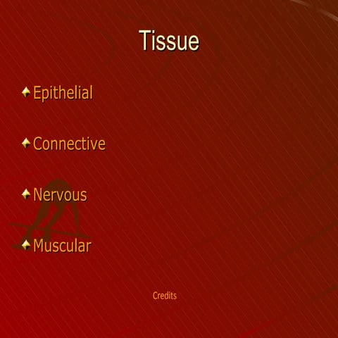 Tissues | PPT