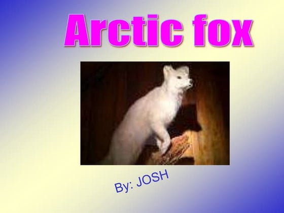 arctic fox by Skyla | PPT