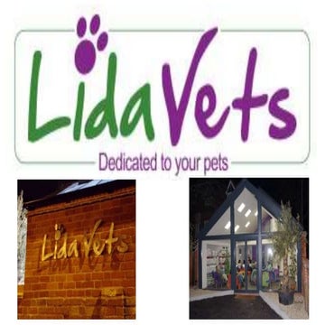 Lida Vets Introductory Presentation | PPTX