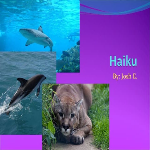 Haiku | PPT