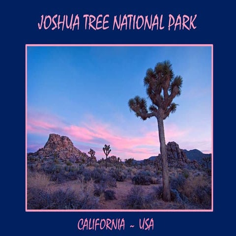 Joshua Tree National Park ~ USA | PPT