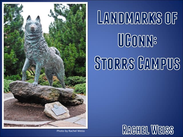 Uconn Husky Statue