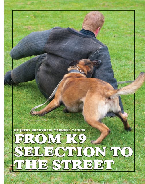 Five Simple Steps to Set K9 up for Success | PDF | Dogs | Pets