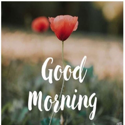 JOURNAL club of power point presentations | PPTX