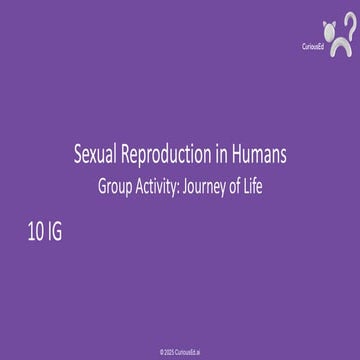 CuriousEd : Journey of Life: Human Reproduction and Foetal Development ...
