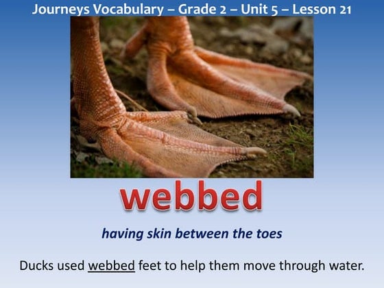 Journeysvocabulary_grade2_unit5_23 | PPT