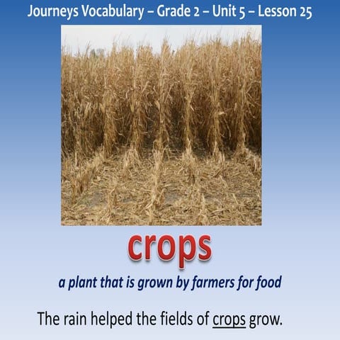 Journeysvocabulary_grade2_unit5_25 | PPT