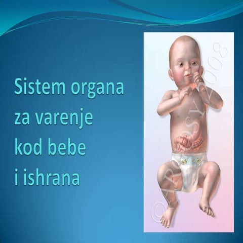 Jovana vranjes III4 | PPTX