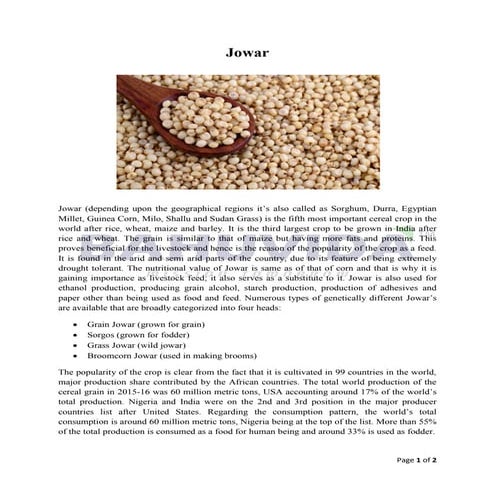 Jowar Agro Commodities Bahuvida Limited Jowar Suppliers Jowar Traders ...