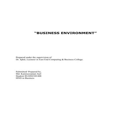 Business Environment Assignment | DOCX