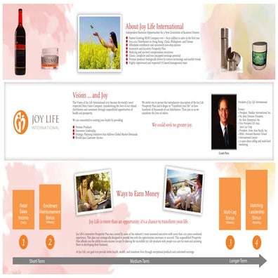 Joy life comp plan 1 19-12 copy | PDF