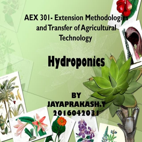 HYDROPHONICS | PPT