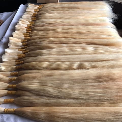 Blonde silky long hair for building | PDF