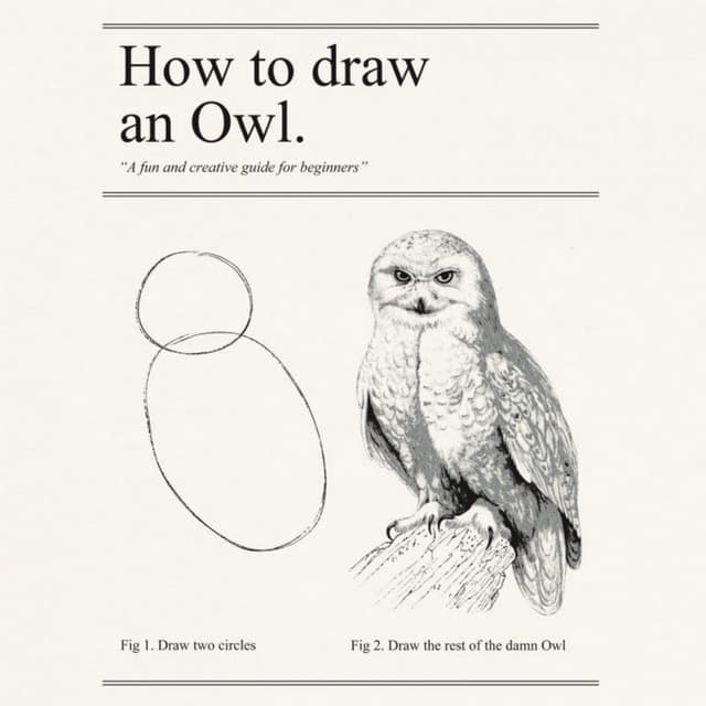 How to draw an owl | PDF
