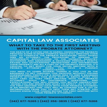 WHAT ARE LAW FIRMS? | PDF