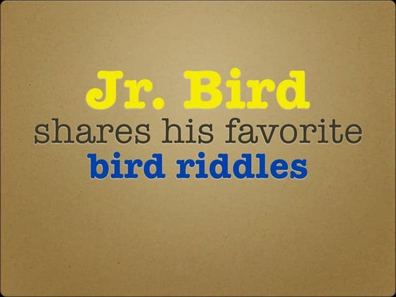 Jr Bird Color Riddles | PPT