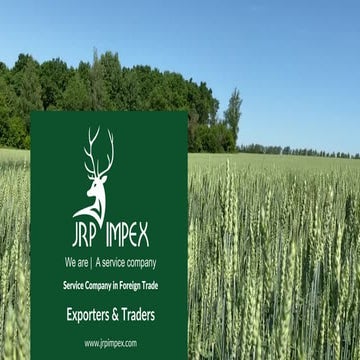 Jrp impex - Exporter & Traders | PPT