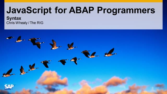 JavaScript for ABAP Programmers - 3/7 Syntax | PDF JavaScript for ABAP Programmers - 3/7 Syntax | PDF