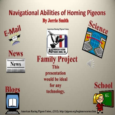 J smith unit_3_ip_project_navigational abilities of homing pigeons | PPT
