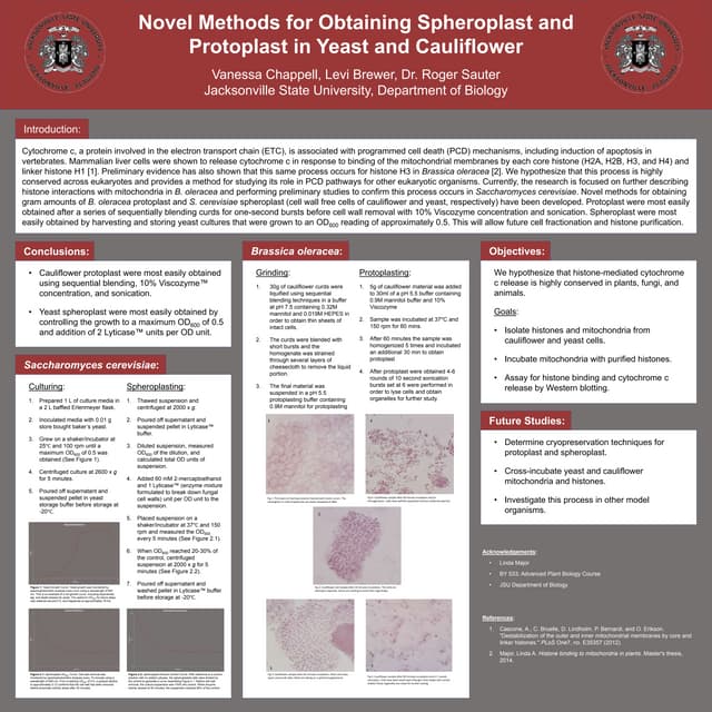 Jsu symposium poster 2017 | PPTX