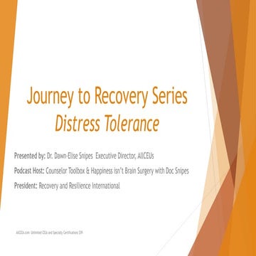 Distress Tolerance Skills and Activities | PPTX