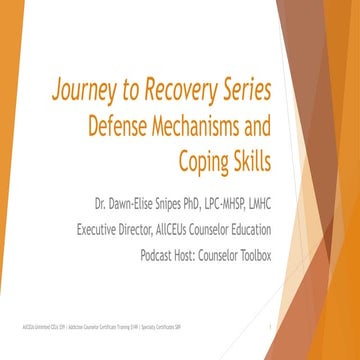 Coping Skills and Defenses | PPTX