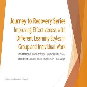 Improving Effectiveness with Different Learning Styles in Individual ...